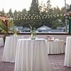 3' Round, Cocktail Height Table | Tables | Event Rents